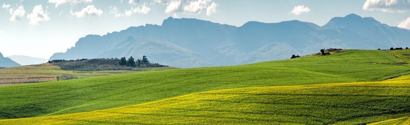 What Is the Environmental Impact of Solar Panels?