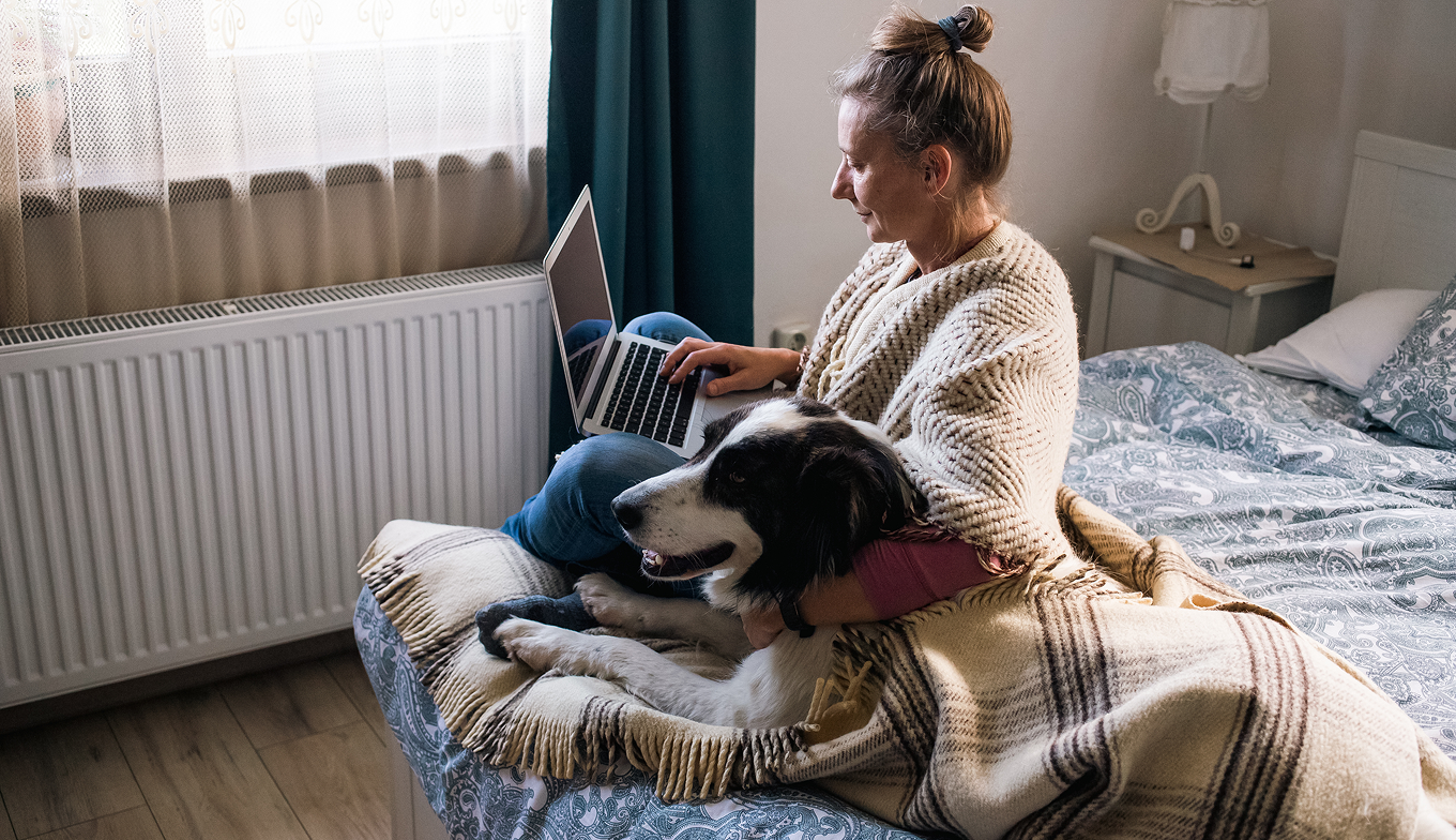 Warm Homes Plan 2026: Savings, Grants & Upgrades Explained